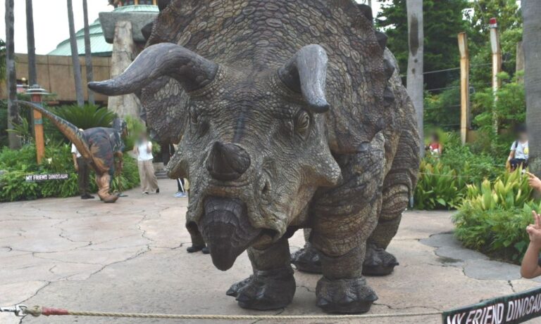 【USJ初心者】子連れユニバを完全攻略！チケットの買い方から画像付きで説明！ - あめ玉ブログ