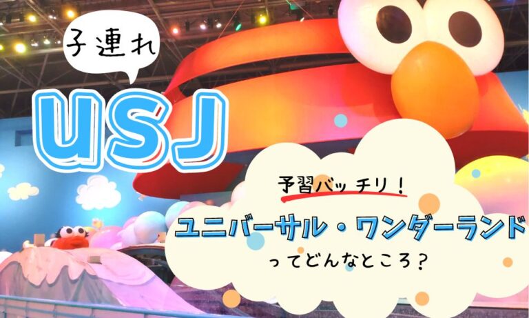 【コレがないと入れない！】USJニンテンドーワールドの入り方4選【ユニバ攻略】 - あめ玉ブログ